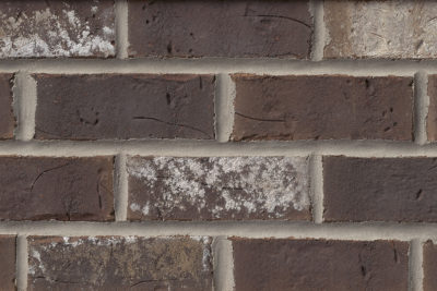 Brick by Color – Henry Brick
